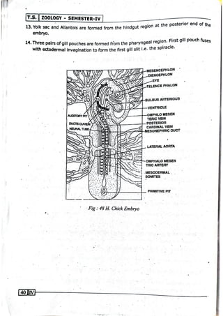 UG IV SEMESTER ZOOLOGY PRACTICAL MANUAL | PDF