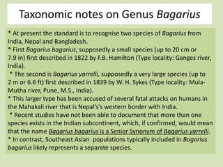 Zoology Series IXa | PPTX