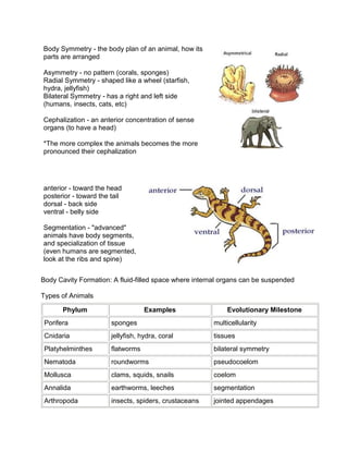 Zoology kingdom animalia | PDF