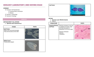 Embryology, Histology, and Cell Reproduction Notes | PDF