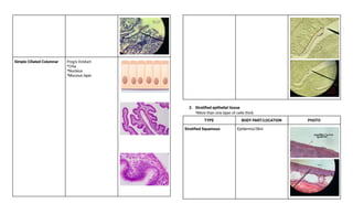 Embryology, Histology, and Cell Reproduction Notes | PPT