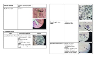 Embryology, Histology, and Cell Reproduction Notes | PPT
