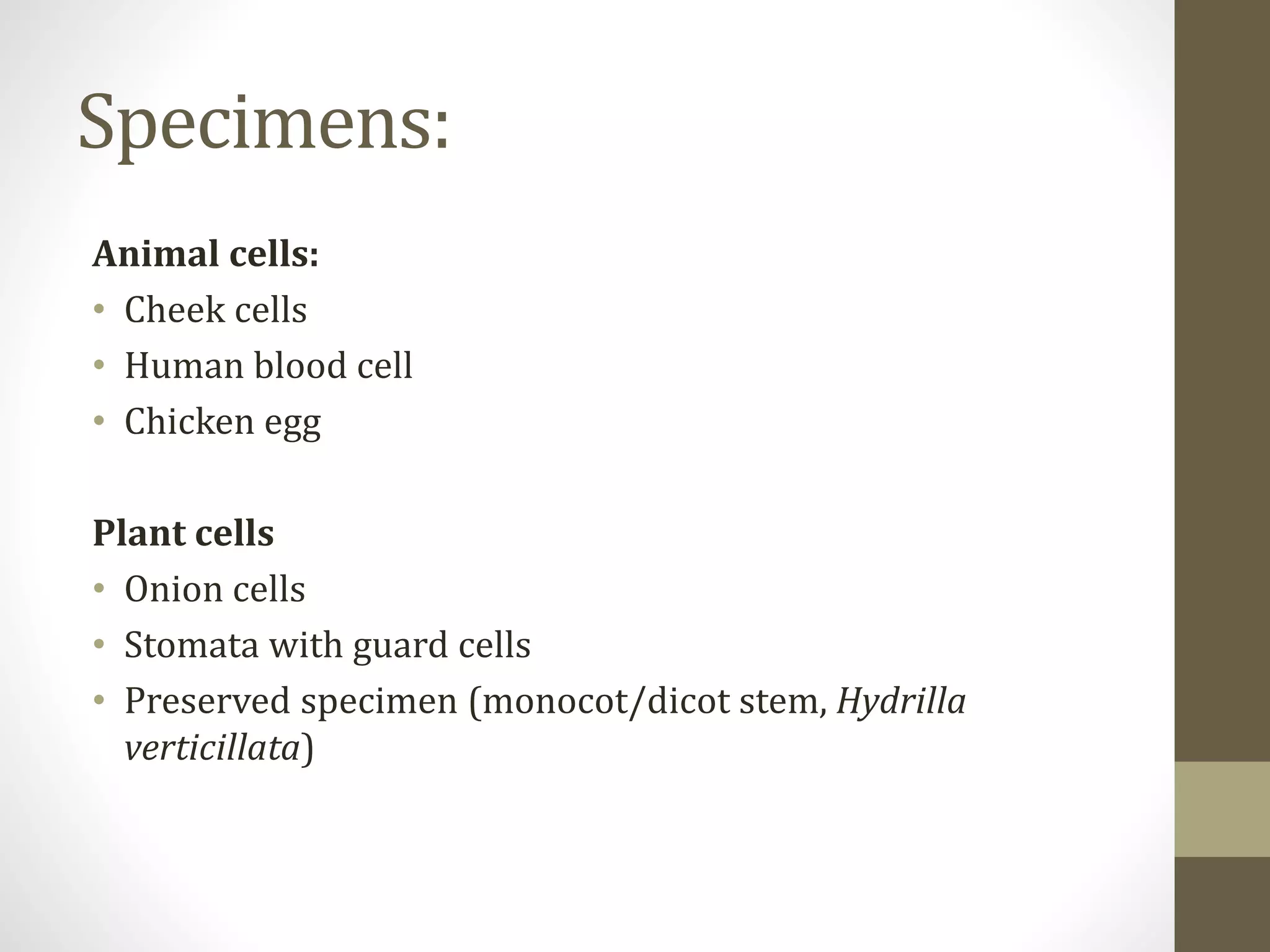 Zoology (laboratory) coverage | PPTX