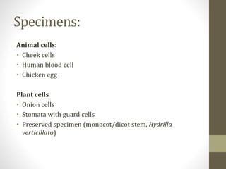 Zoology (laboratory) coverage | PPTX