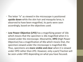 Zoology (laboratory) coverage | PPTX
