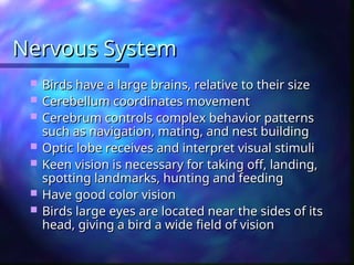 Zoology vertebrates class lecture 10.ppt