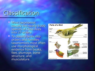 Zoology vertebrates class lecture 10.ppt