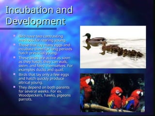 Zoology vertebrates class lecture 10.ppt