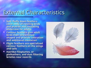 Zoology vertebrates class lecture 10.ppt