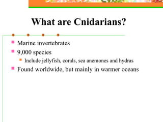 Zoology Lecture 6.ppt, Zoology Lecture 6.ppt