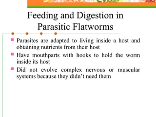 Zoology Lecture 6.ppt, Zoology Lecture 6.ppt