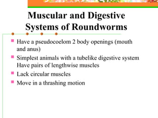 Zoology Lecture 6.ppt, Zoology Lecture 6.ppt