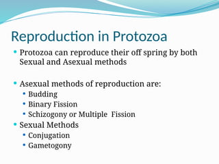 Zoology Lecture Four. protozoa and spongespptx | PPT