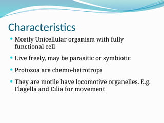 Zoology Lecture Four. protozoa and spongespptx | PPTX