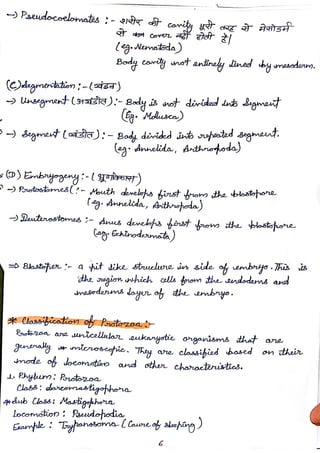 JNVU BSc (Nep.) Zoology Unit I English medium Notes | PDF