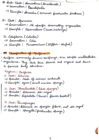 JNVU BSc (Nep.) Zoology Unit I English medium Notes | PDF