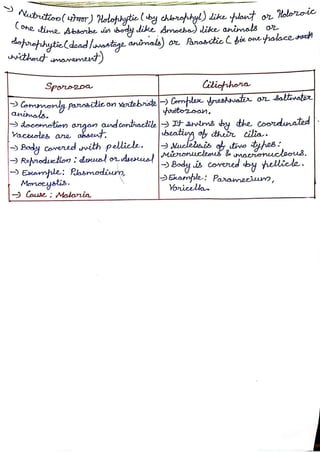 JNVU BSc (Nep.) Zoology Unit I English medium Notes | PDF