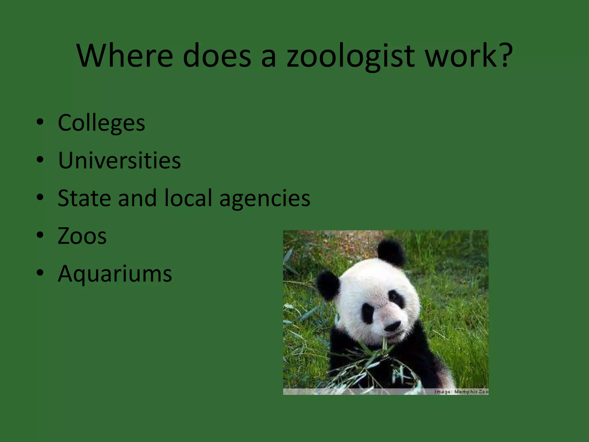 Zoology | PPT