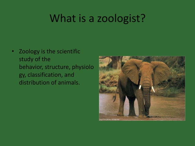 Zoology | PPT