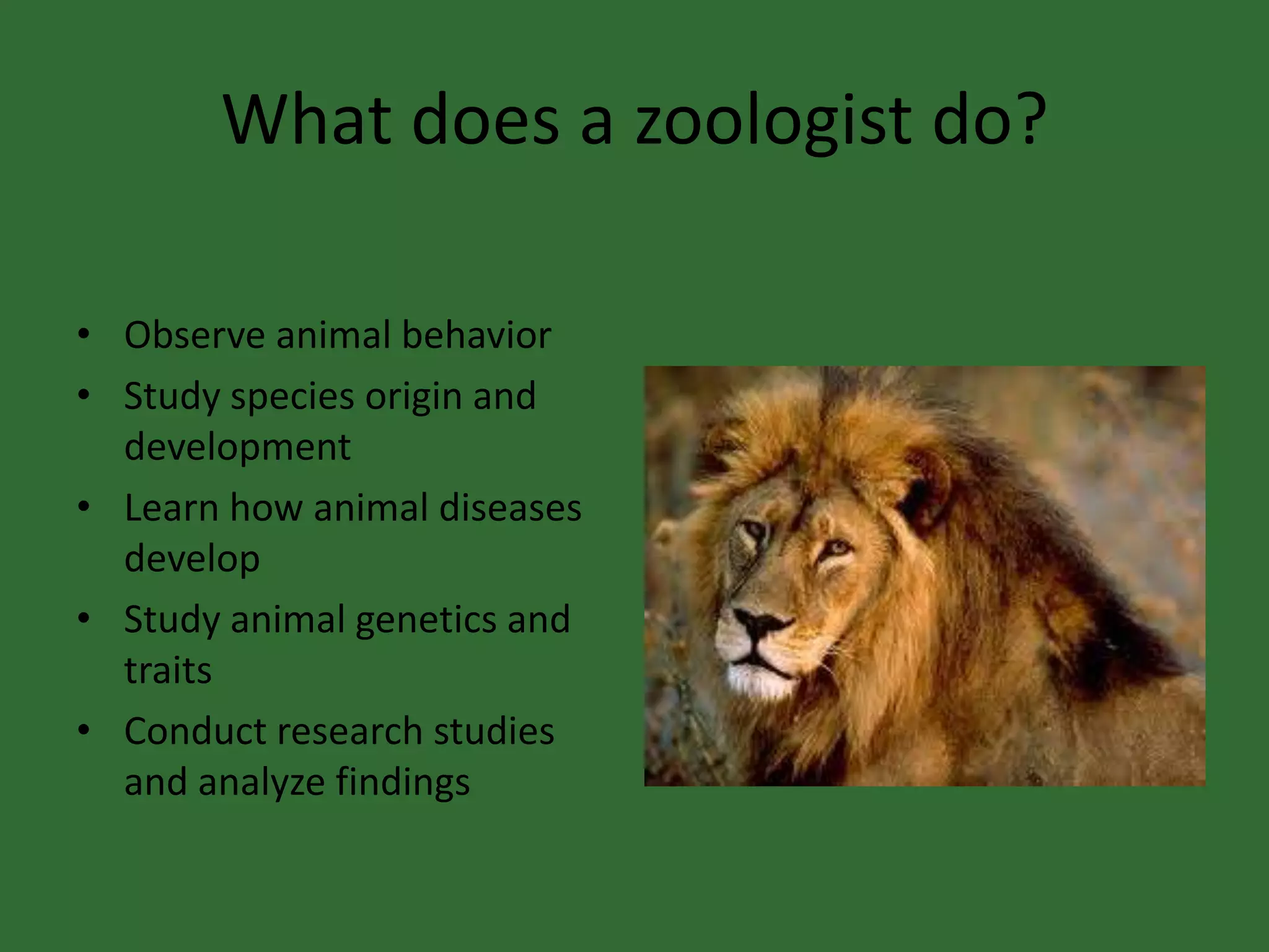 Zoology | PPT