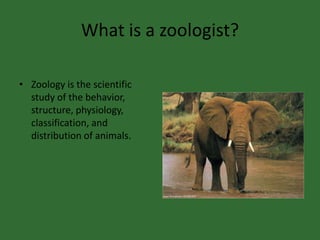 Zoology | PPTX | Zoos & Aquariums | Attractions
