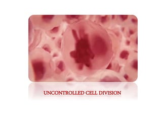 Cancer and the role of Oncologist | PPTX