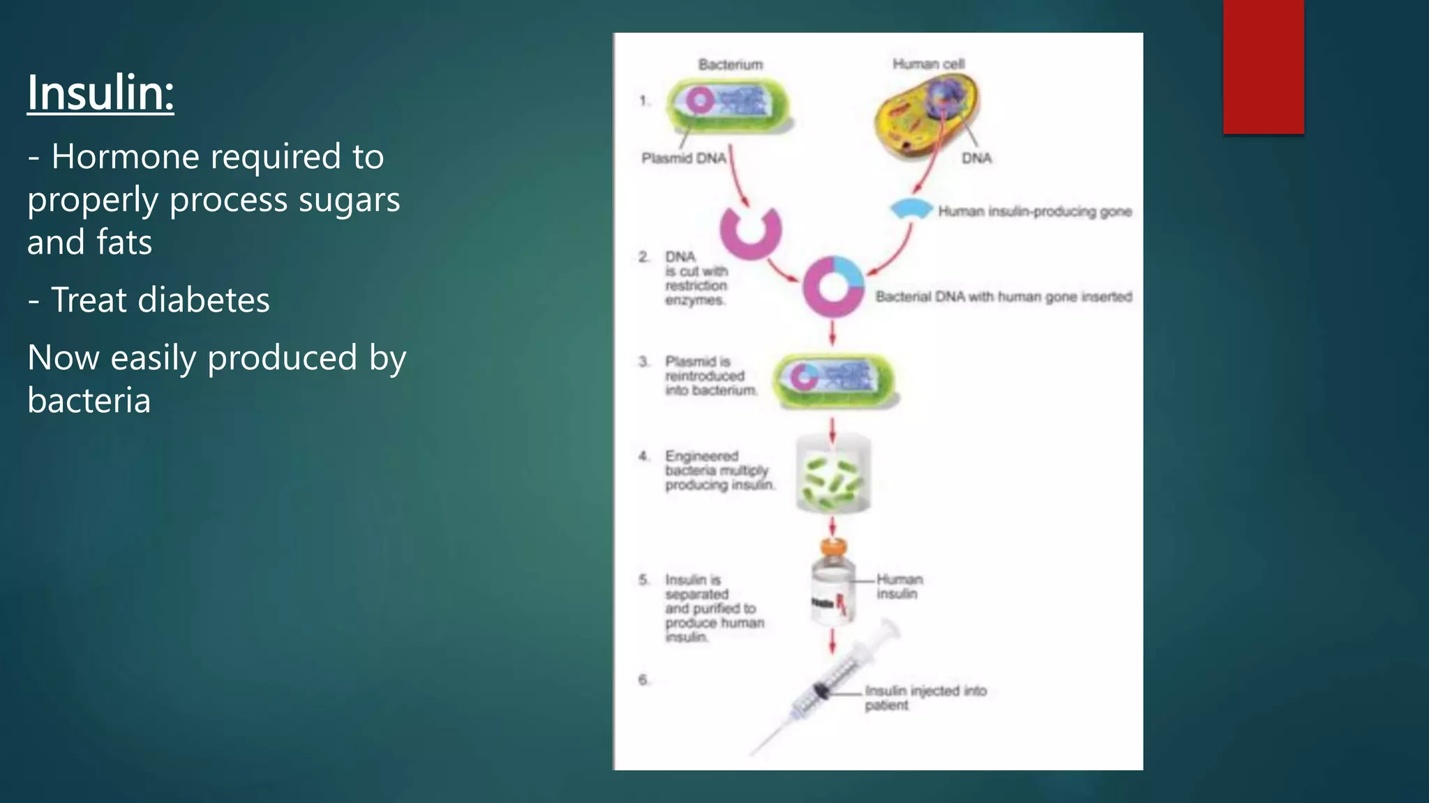 zoology present.pptx