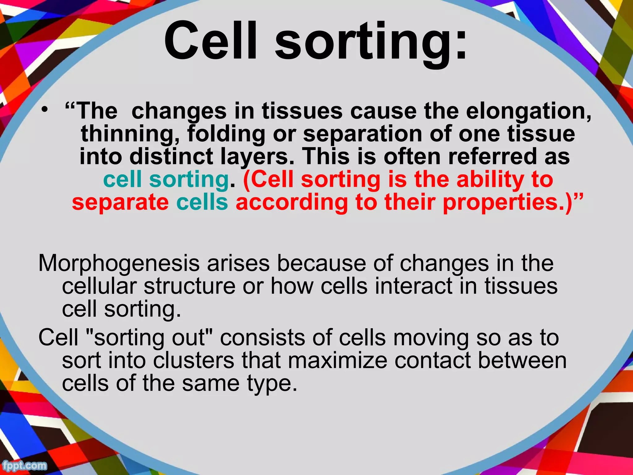 morphogenesis | PPT