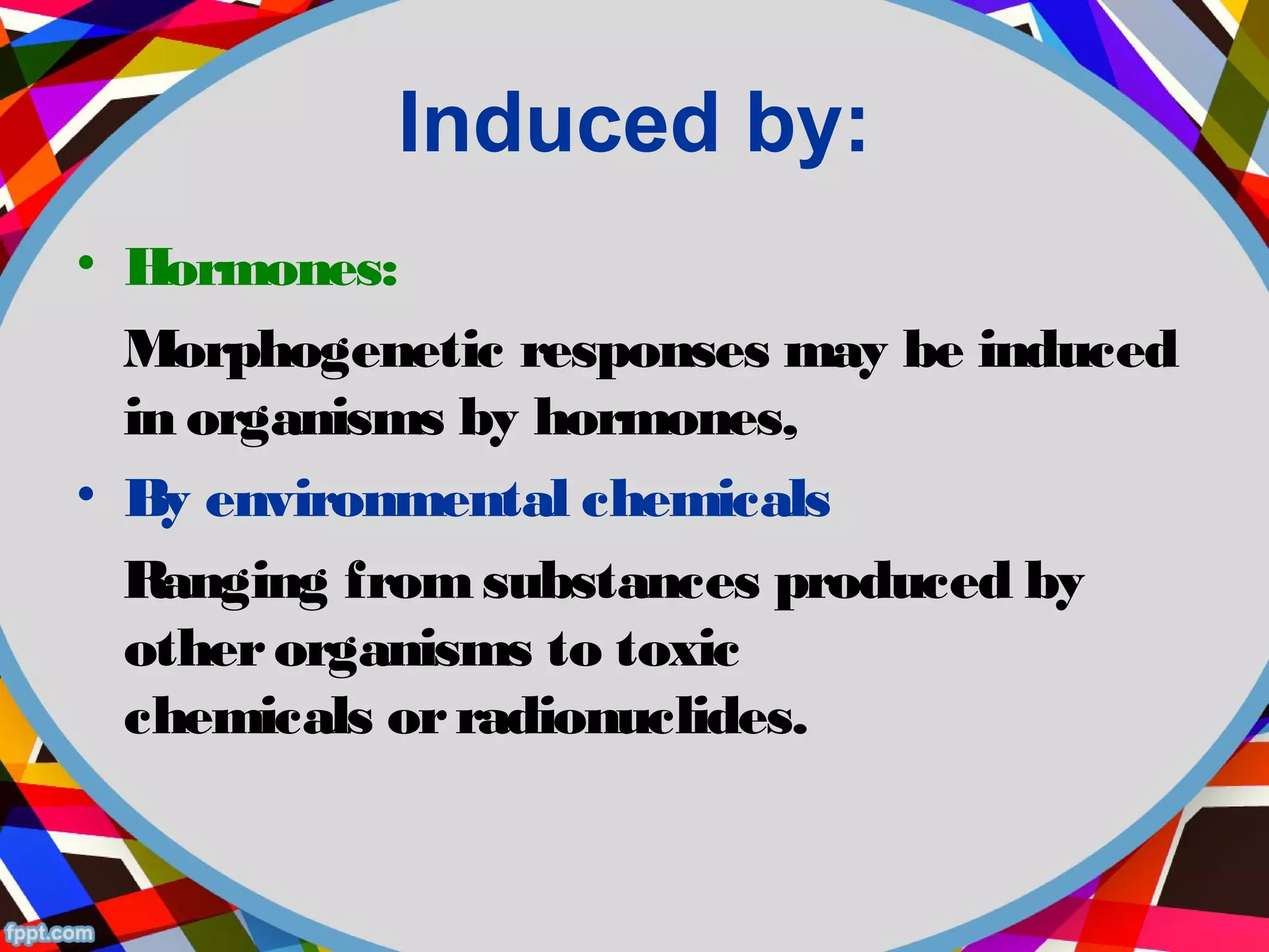morphogenesis | PPT