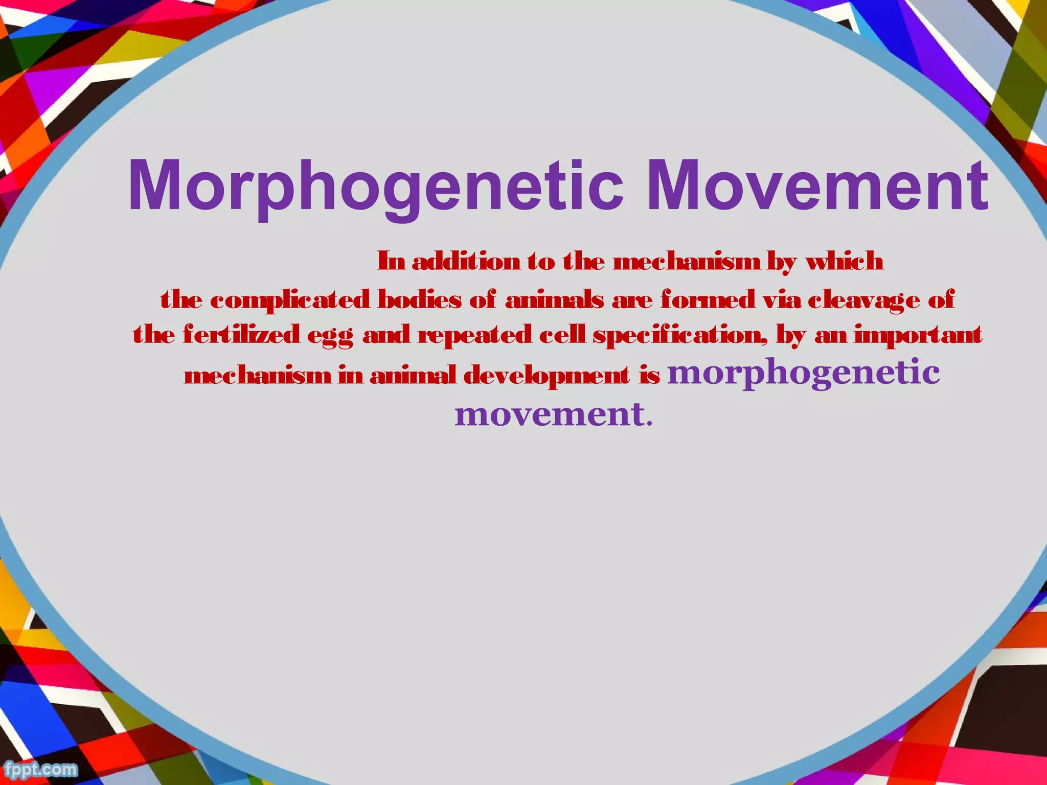 morphogenesis | PPT