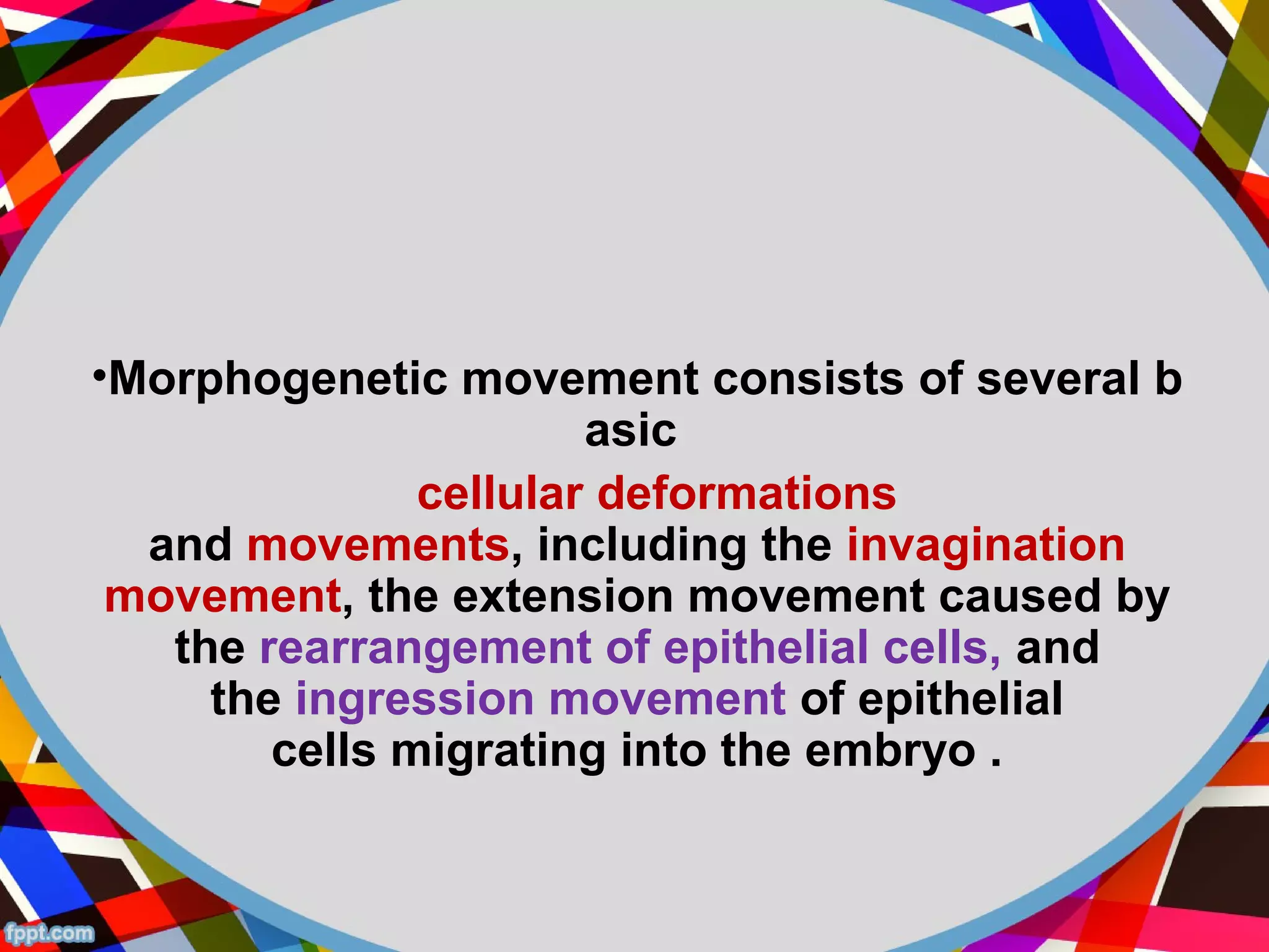 morphogenesis | PPT