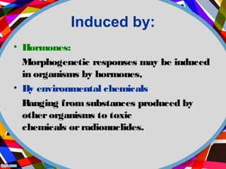 morphogenesis | PPT