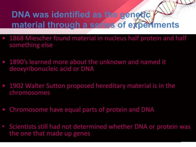 DNA as genetic material | PPTX | Genetics | Science