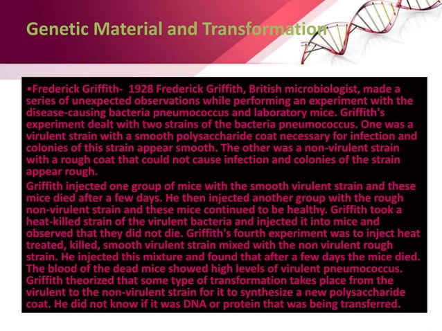 DNA as genetic material | PPTX | Genetics | Science