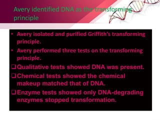 DNA as genetic material | PPTX | Genetics | Science