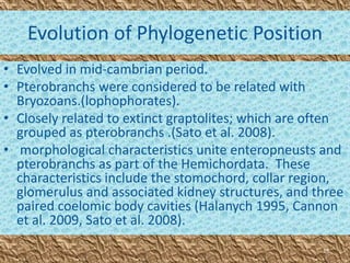 Pterobranchia | PPTX | Biological Sciences | Science