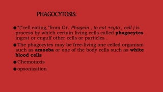 endosytosis | PPTX