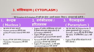 zoology presentation by vishal (1).pdf.. | PDF