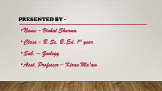 zoology presentation by vishal (1).pdf.. | PDF