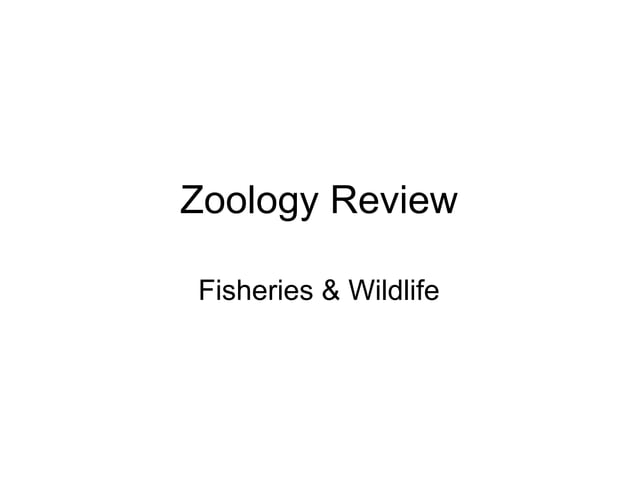 Zoology review 1 | PPT