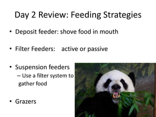 Zoology review final | PPTX
