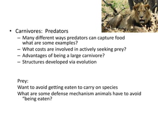 Zoology review final | PPTX