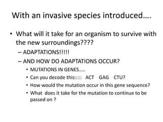 Zoology review final | PPTX