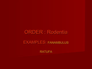 FANAMBULUS | PPT