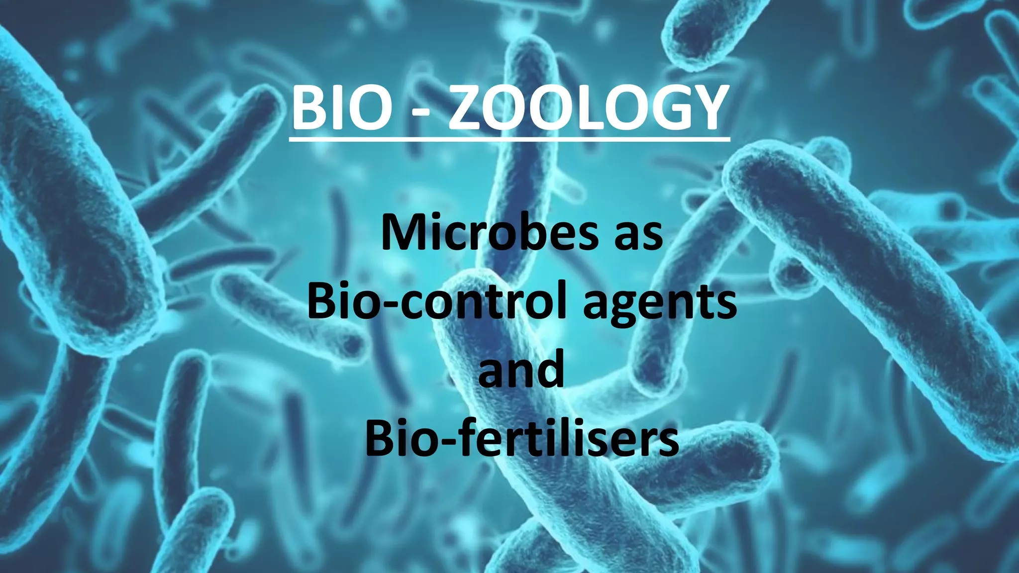 Microbes as Biocontrol Agents & Biofertilizers.pdf