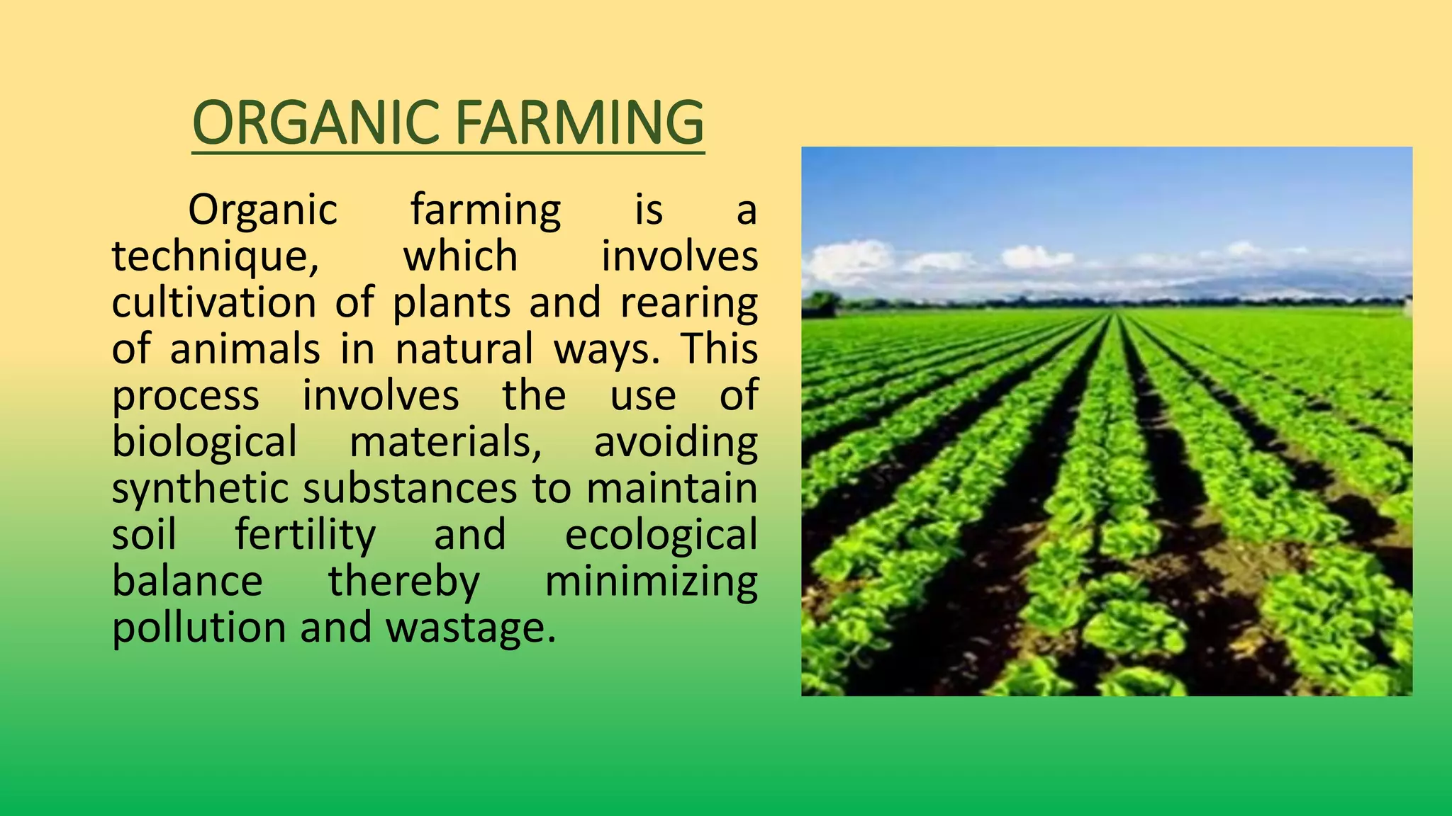 Microbes as Biocontrol Agents & Biofertilizers.pdf