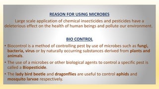 Microbes as Biocontrol Agents & Biofertilizers.pdf