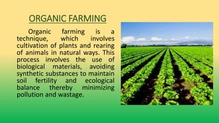 Microbes as Biocontrol Agents & Biofertilizers.pdf