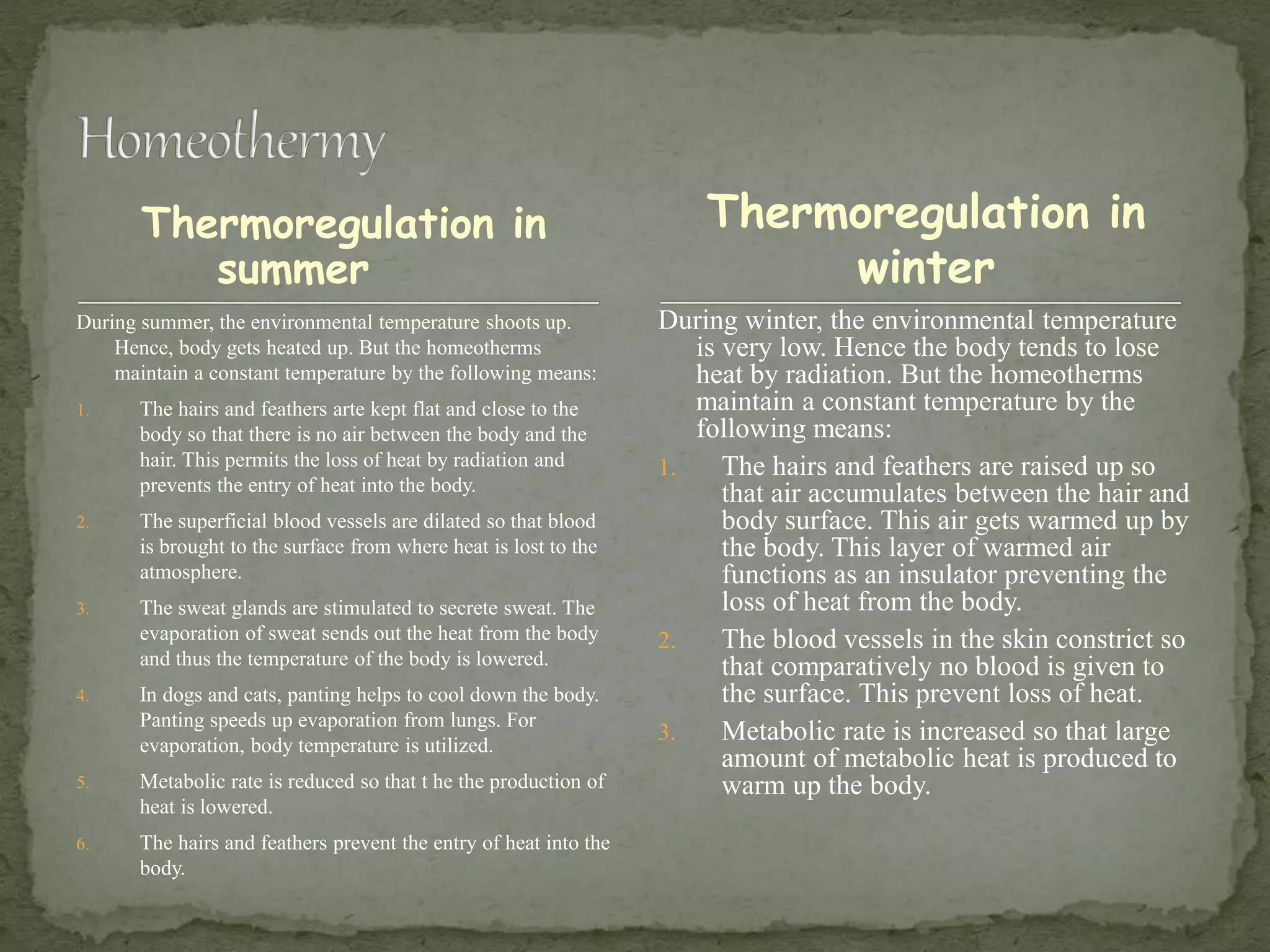 Adaptations of Plants and Animals to extreme temperatures | PPTX