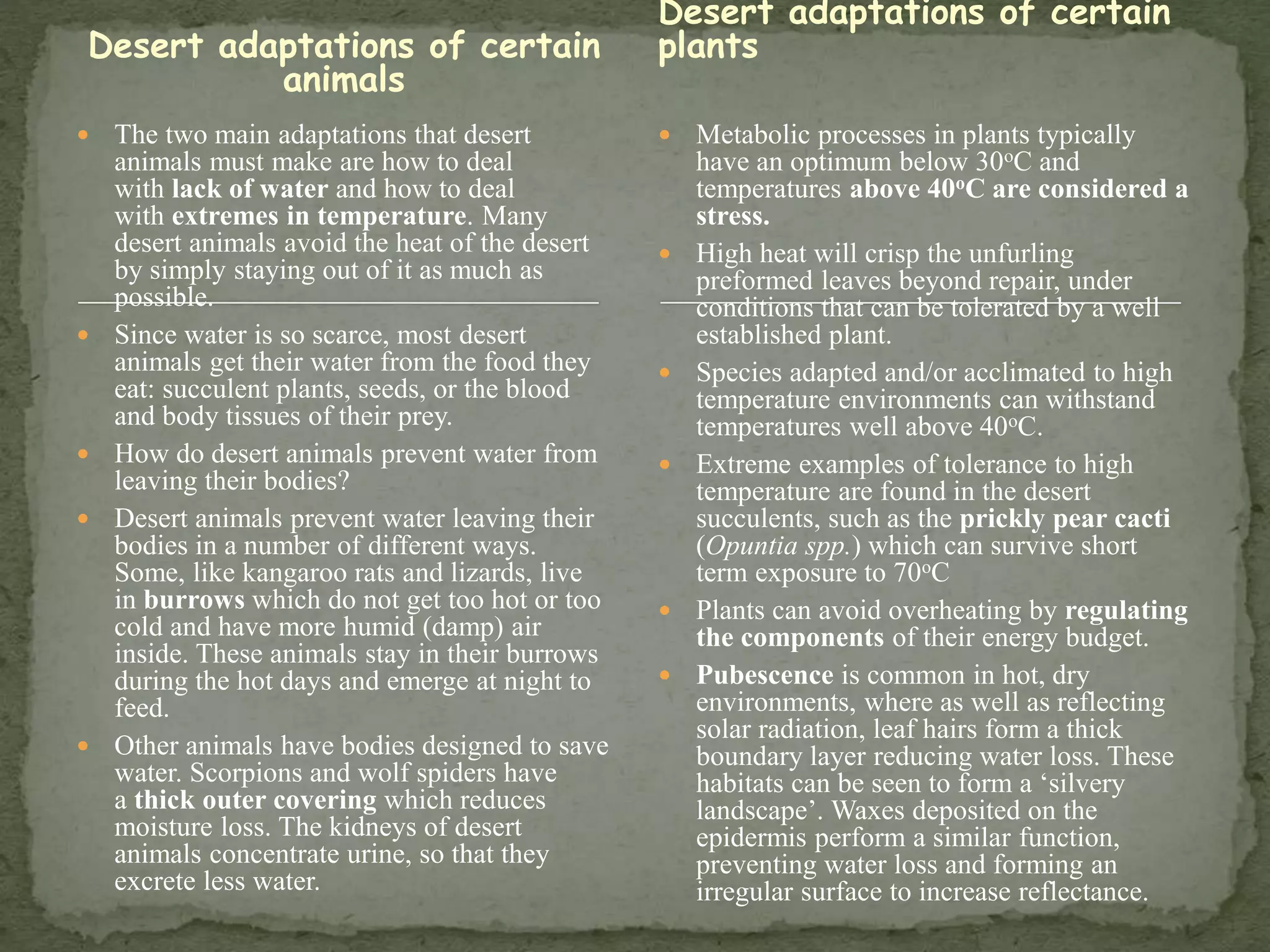 Adaptations of Plants and Animals to extreme temperatures | PPTX